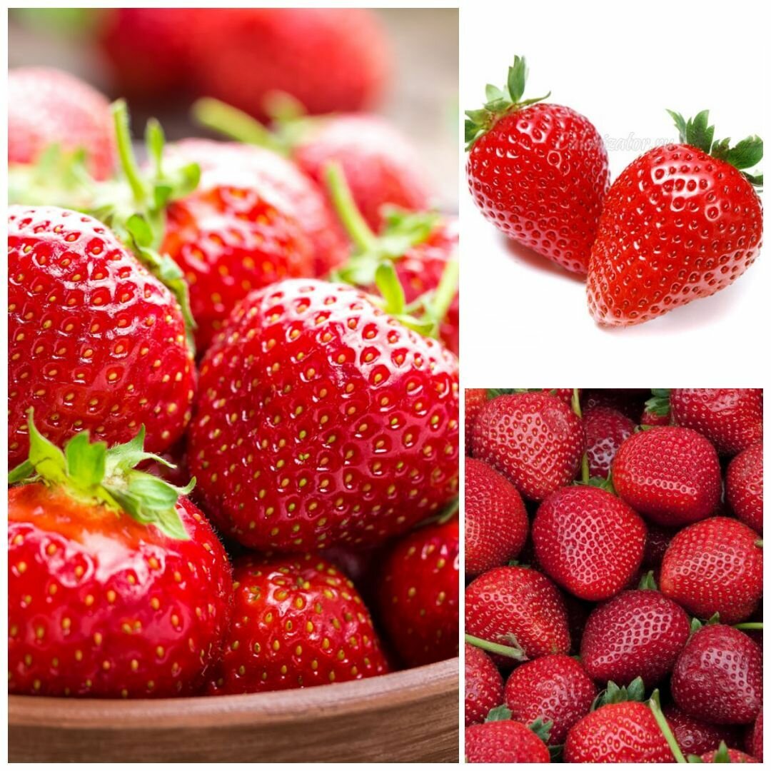 Комплект саженцев земляники Лямур Тужур 3 шт