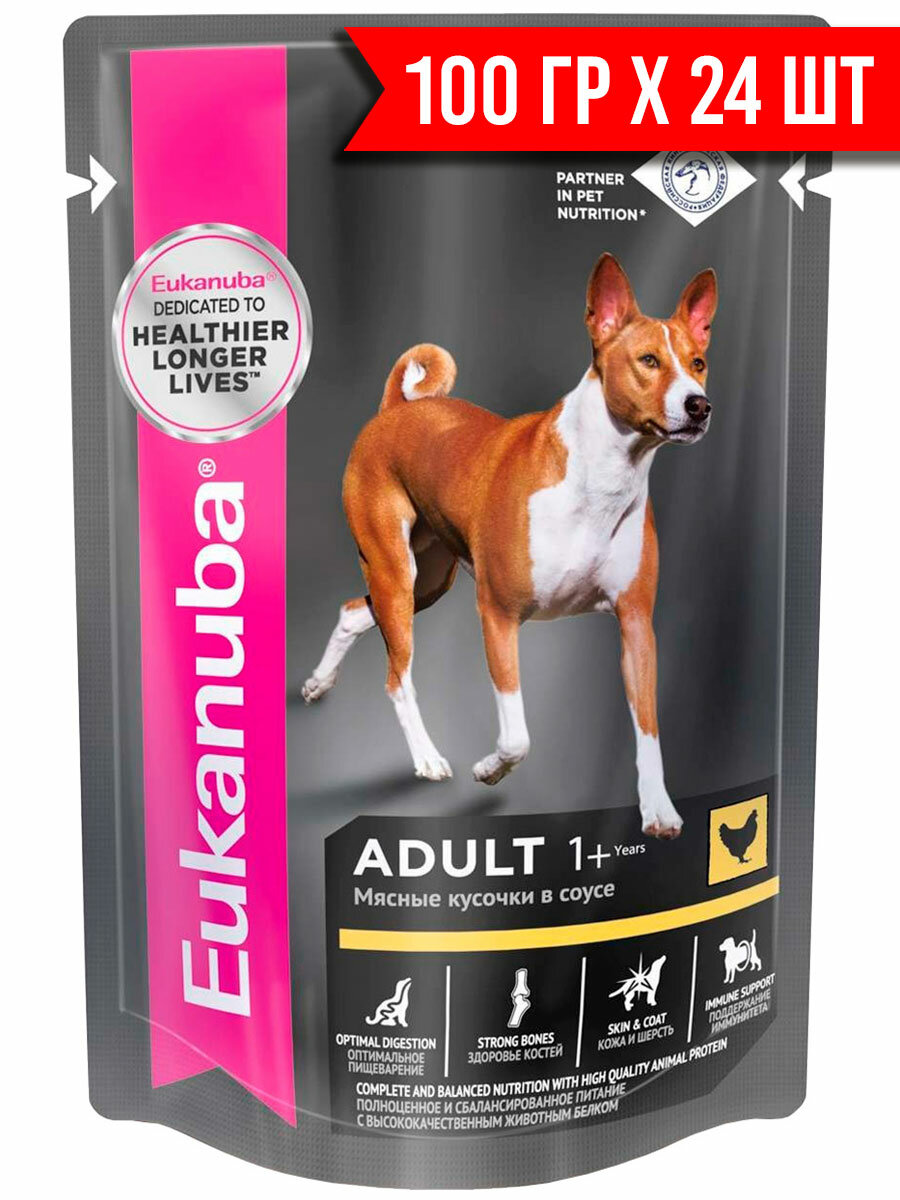 EUKANUBA DOG ADULT CHICKEN для взрослых собак с курицей в соусе 100 гр (100 гр х 24 шт)