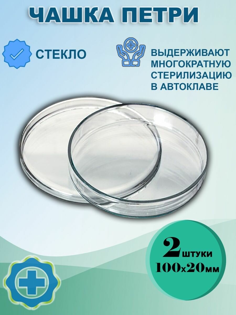 Чашка Петри стеклянная для лабораторных исследований 100х20мм, 2 штуки
