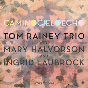 Компакт-Диски, Intakt Records, RAINEY, TOM TRIO - Camino Cielo Echo (CD)