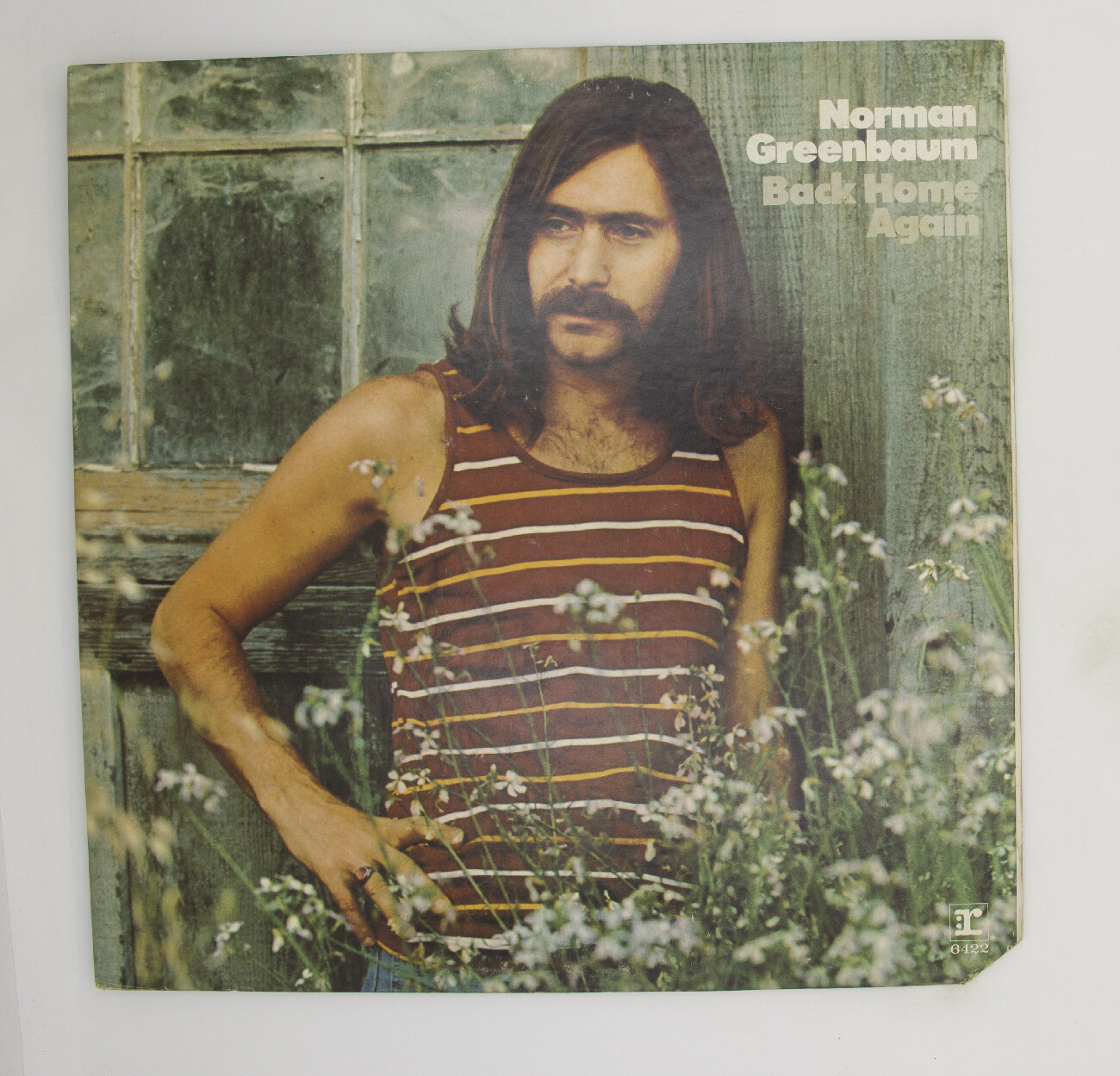 Виниловая пластинка Норман Гринбаум - Back Home Again, 1xLP, EX