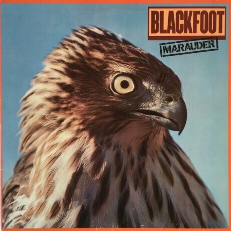Старый винил, ATCO Records, BLACKFOOT - Marauder (LP , Used)