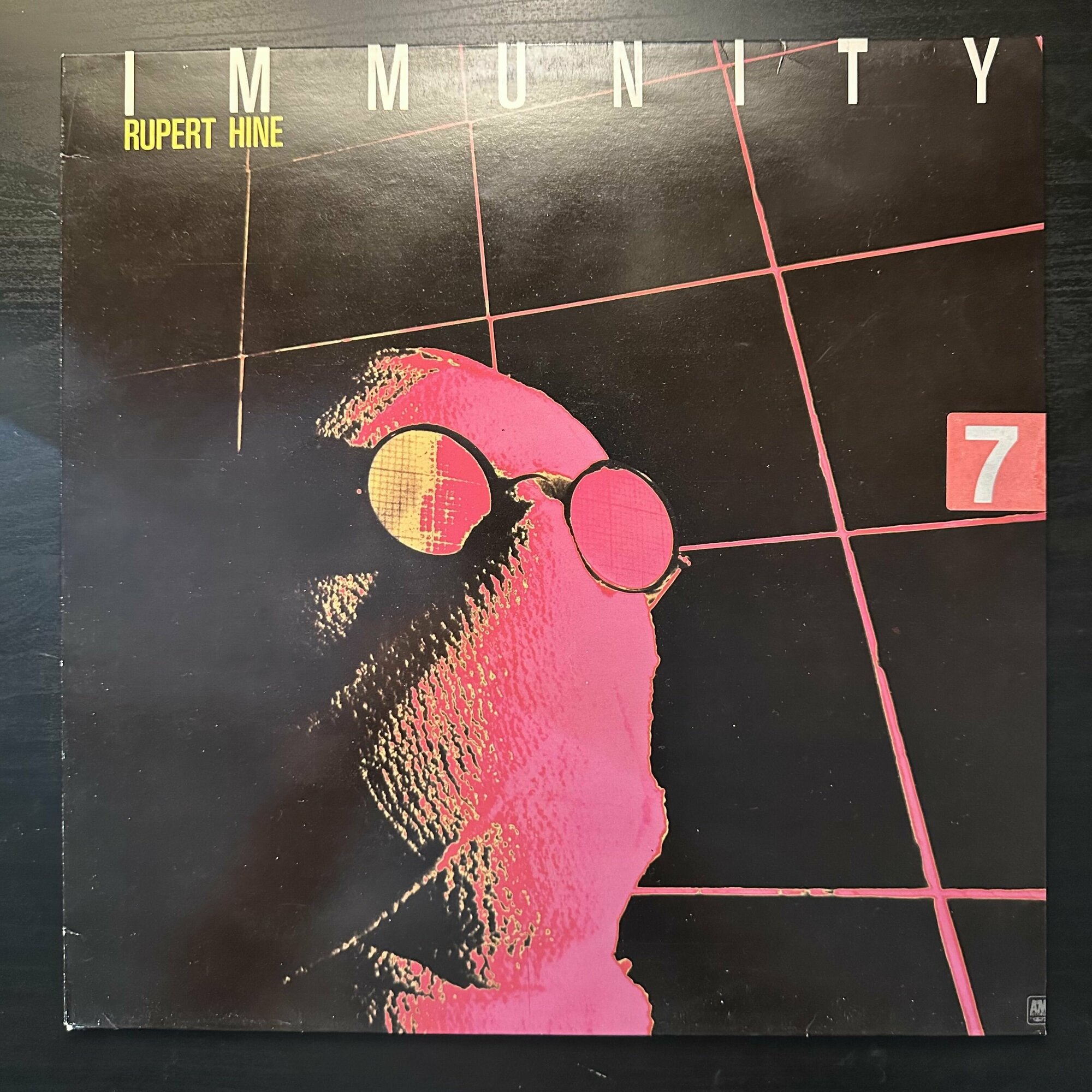 Виниловая пластинка Rupert Hine Immunity (Голландия 1981г.)