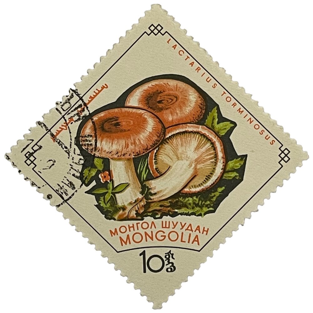 Почтовая марка Монголия 10 мунгу 1964 г. Волнушки. Серия: Грибы (15)
