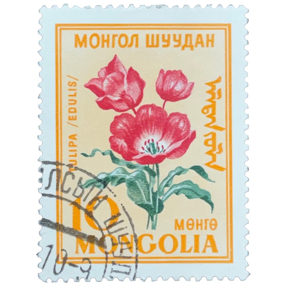 Почтовая марка Монголия 10 мунгу 1960 г. Стандартные марки. Цветы (2)