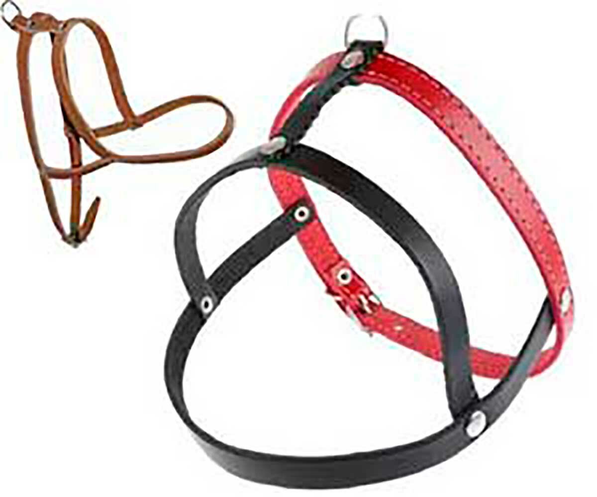 Шлейка для собак brava средняя арт401