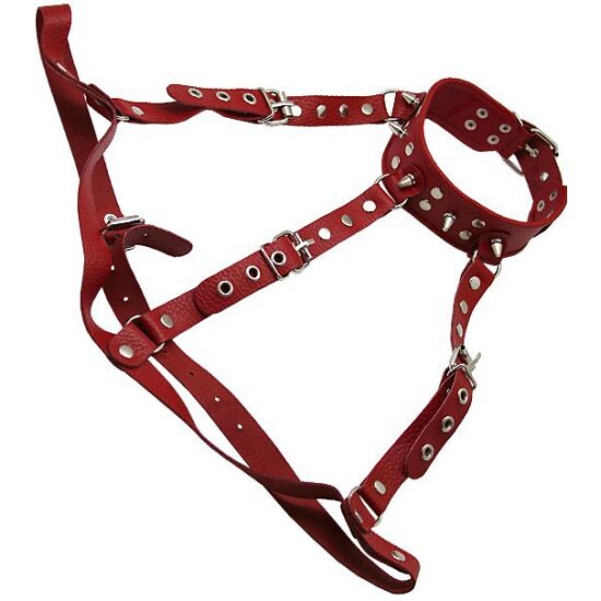 Ошейник Sitabella сбруя, красный