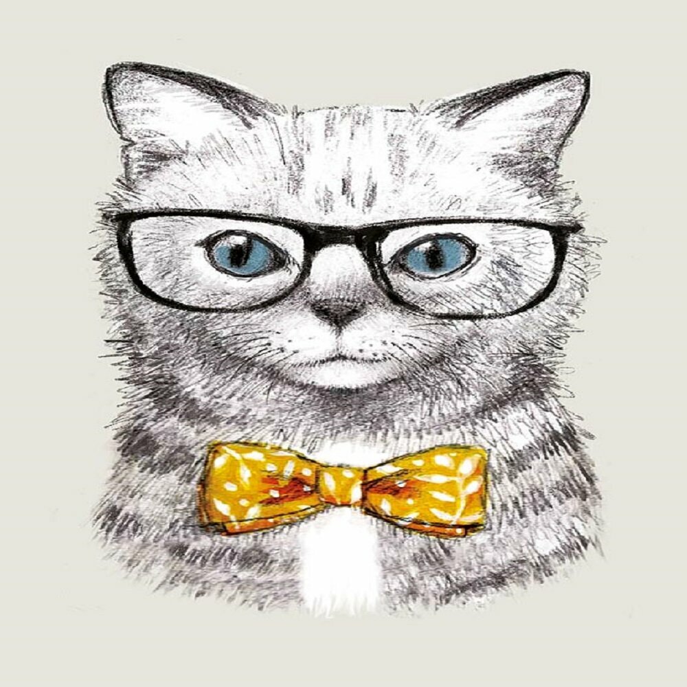 Постер Кот в очках 21х29.7 см - стильный интерьерный принт для дома и офиса