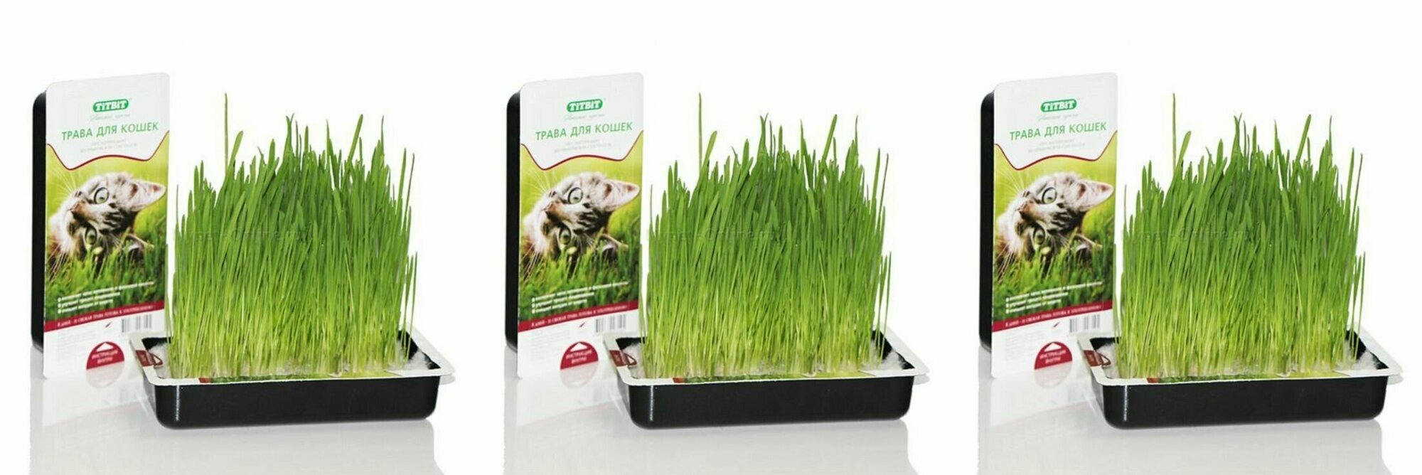 Titbit Трава для кошек,65 г,3 шт