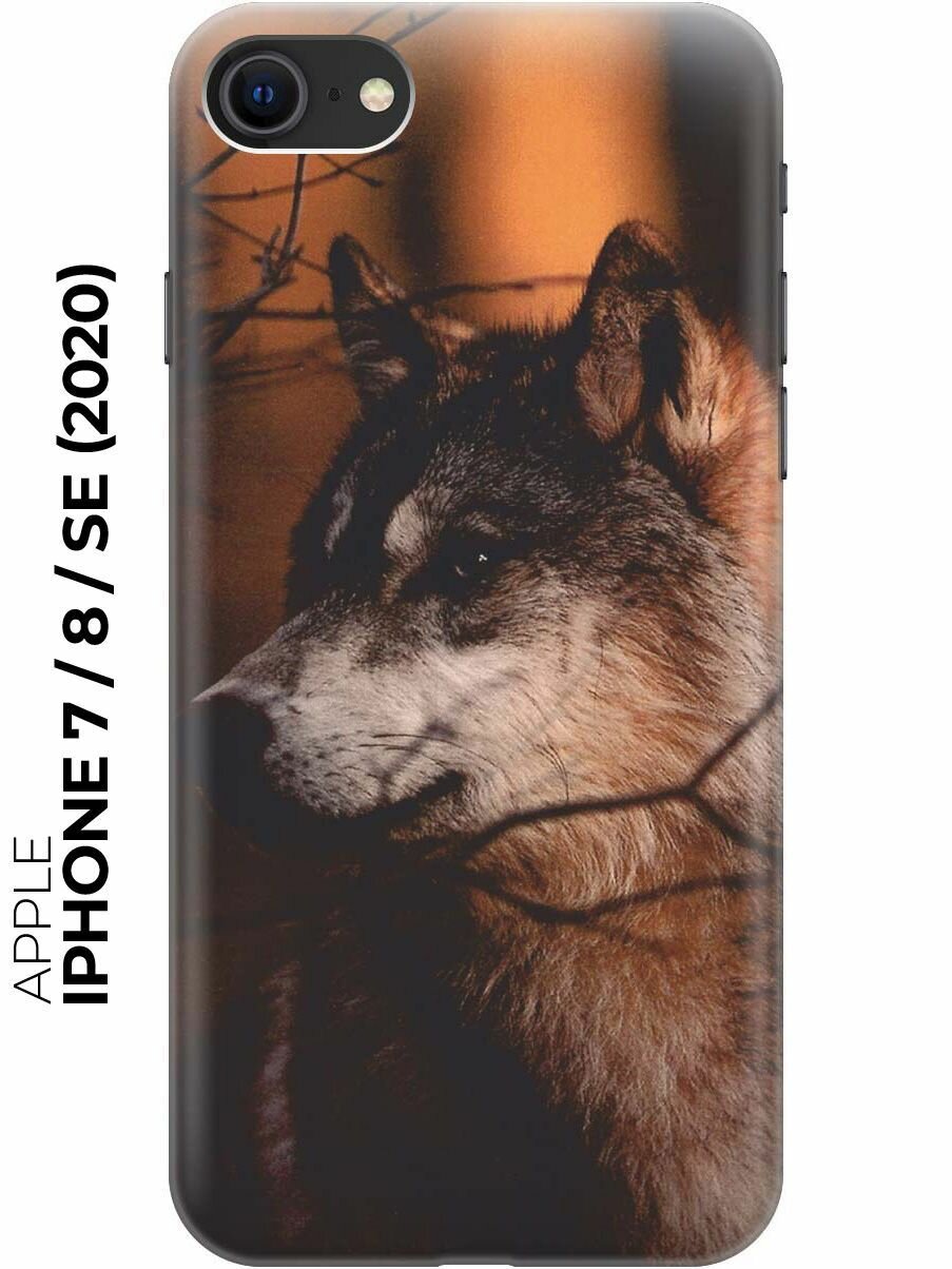Силиконовый чехол на Apple iPhone SE (2022) / SE (2020) / 8 / 7 / Эпл Айфон СЕ 2022 / СЕ 2020 / 8 / 7 с рисунком "Красивый волк"