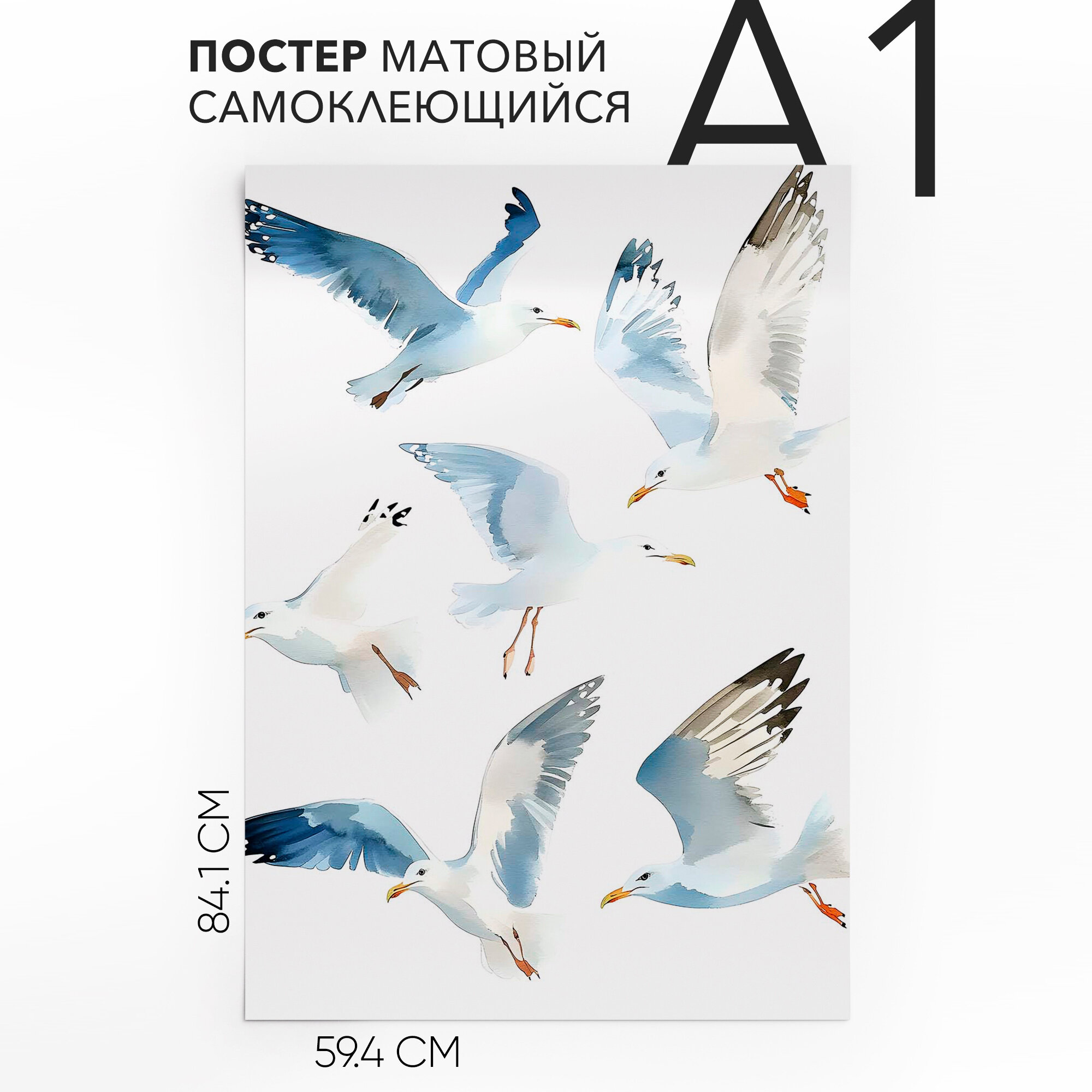Постеры плакаты самоклеящийся, большой A1 Чайки, влагостойкий, для декора