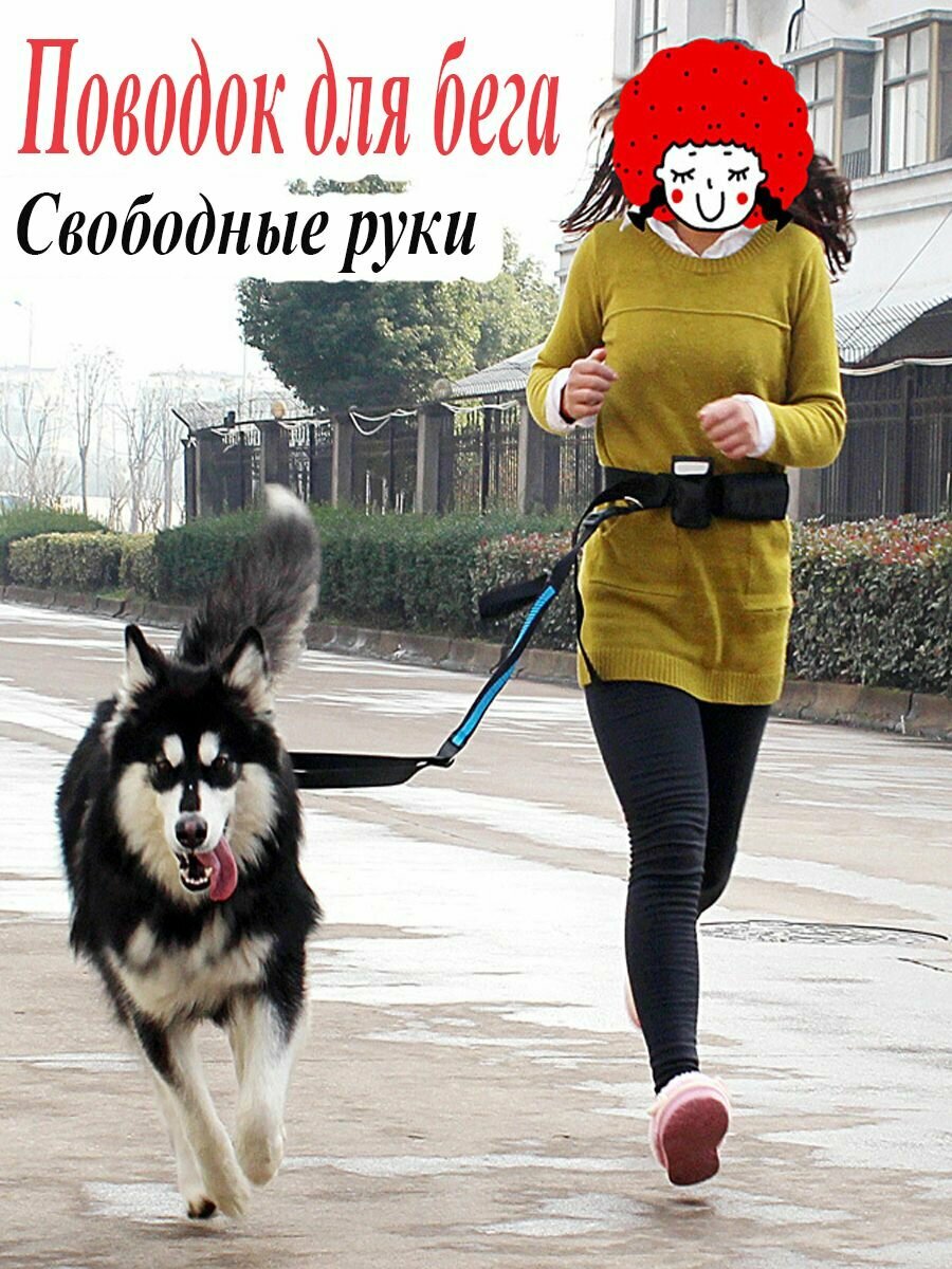 Ремень с регулируемой талией с поводком для бега, синий