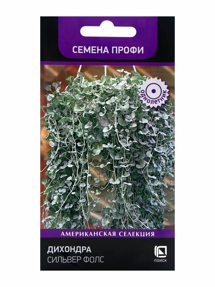 Семена цветов поиск Дихондра Сильвер Фолс, однолетник, 5 шт (838891)