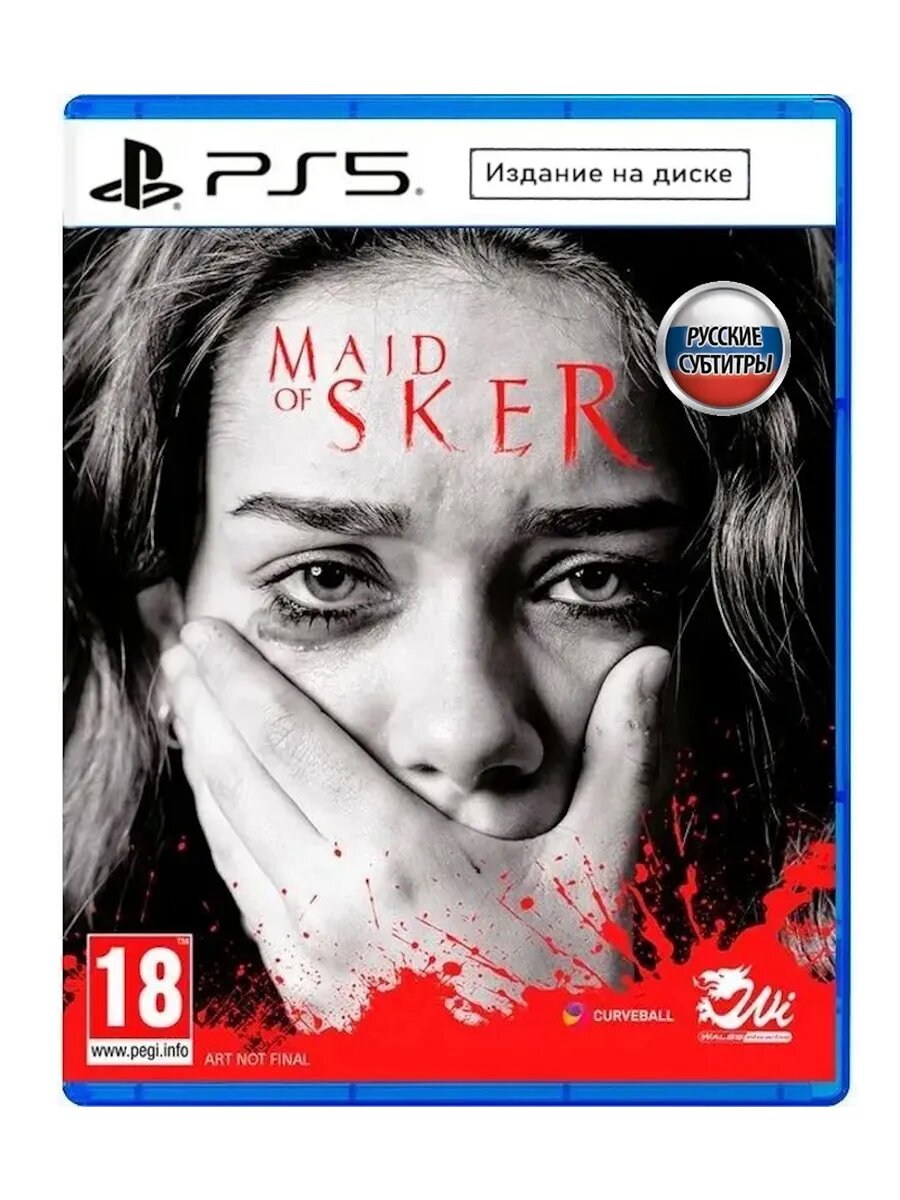 Игра Maid Of Sker (PS5) русские субтитры