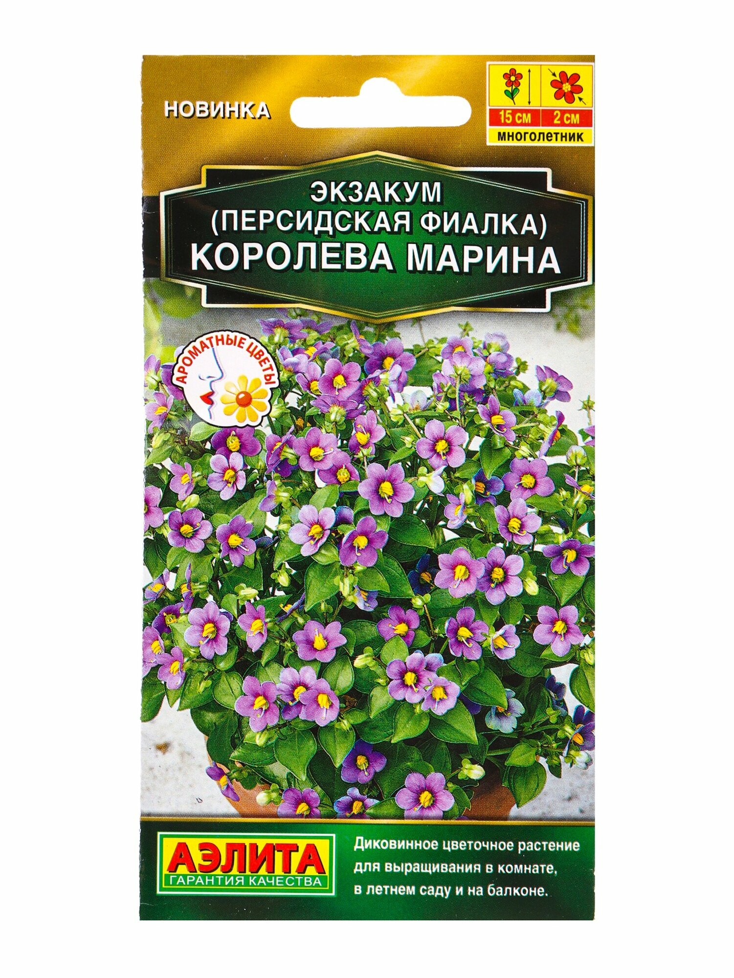 Семена цветов Экзакум (Персидская фиалка) Королева марина (драже) , Ц/П,4 шт.