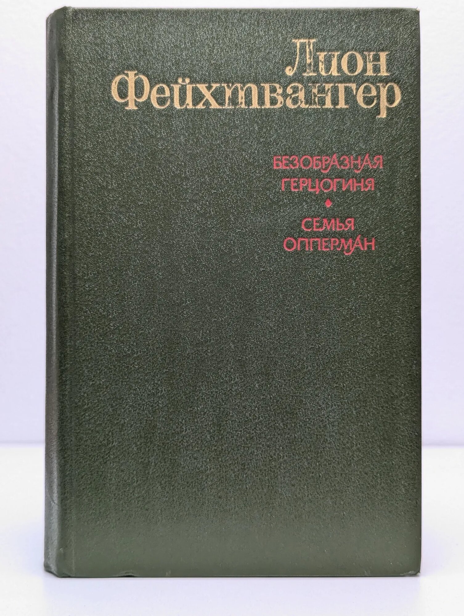 Безобразная герцогиня. Семья Опперман Фейхтвангер Лион 1979