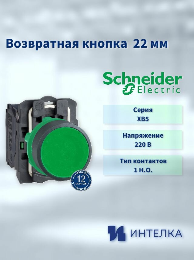 Кнопка Schneider Electric22 мм, 220В, IP66, Зеленый. XB5AA31