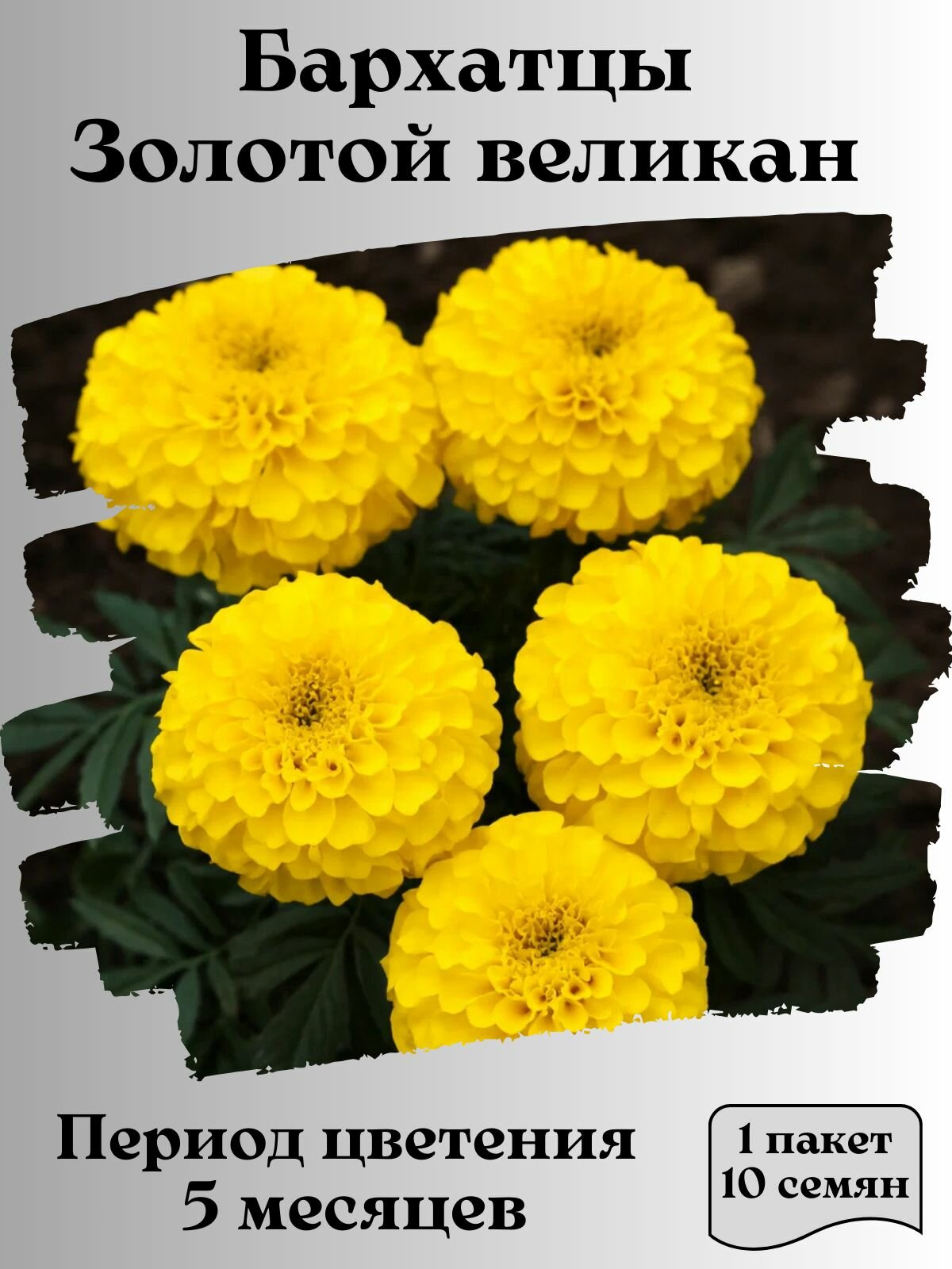 Бархатцы Золотой великан, семена, 10 шт, 15 гр.