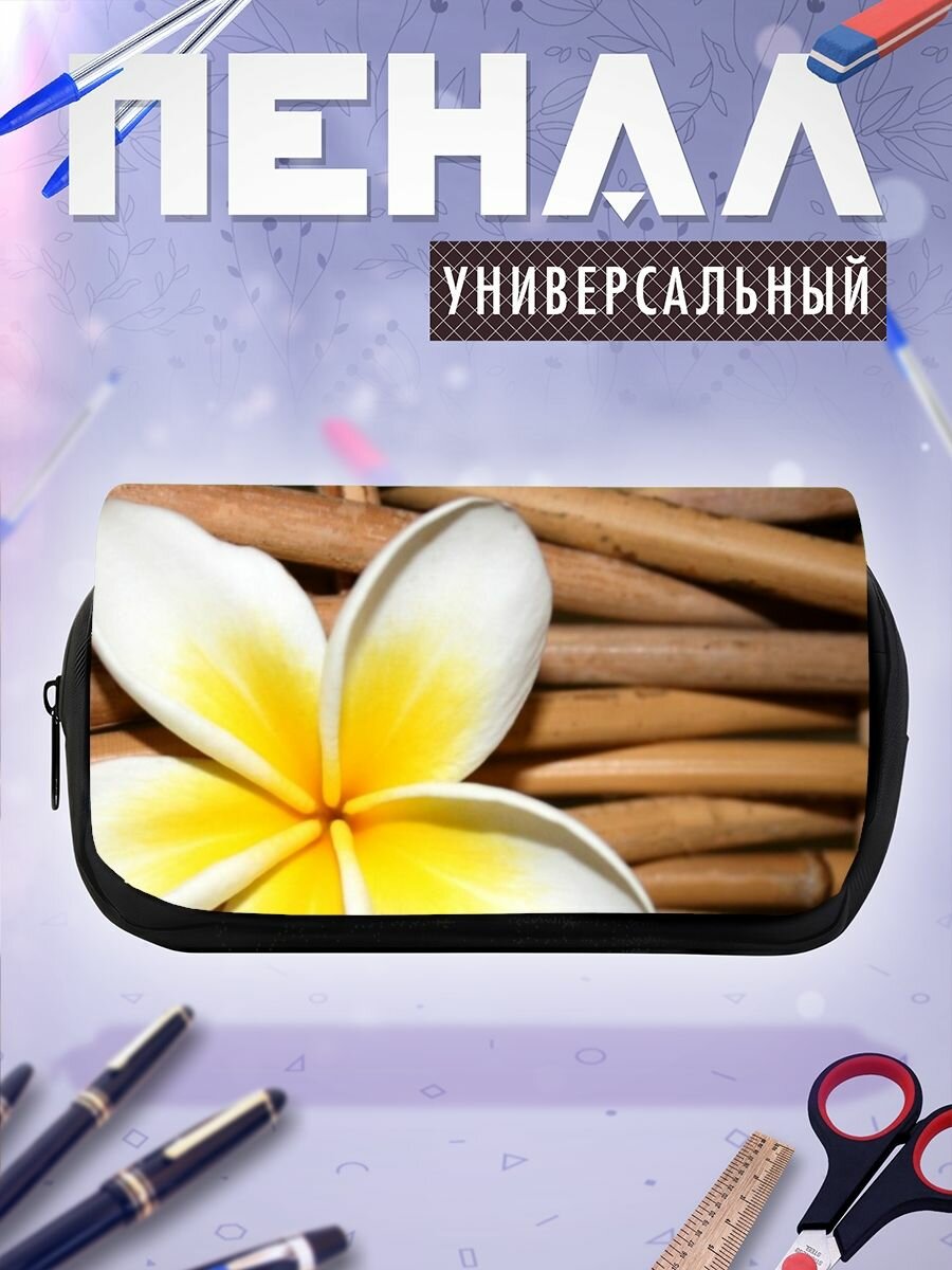 Школьный пенал франжипани лепесток