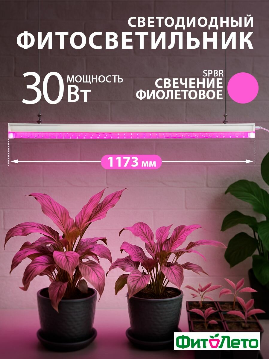 Фитолампа для рассады и растений, красно-синий спектр, 30 Ватт, 1173 мм, ФитоЛето, Uniel