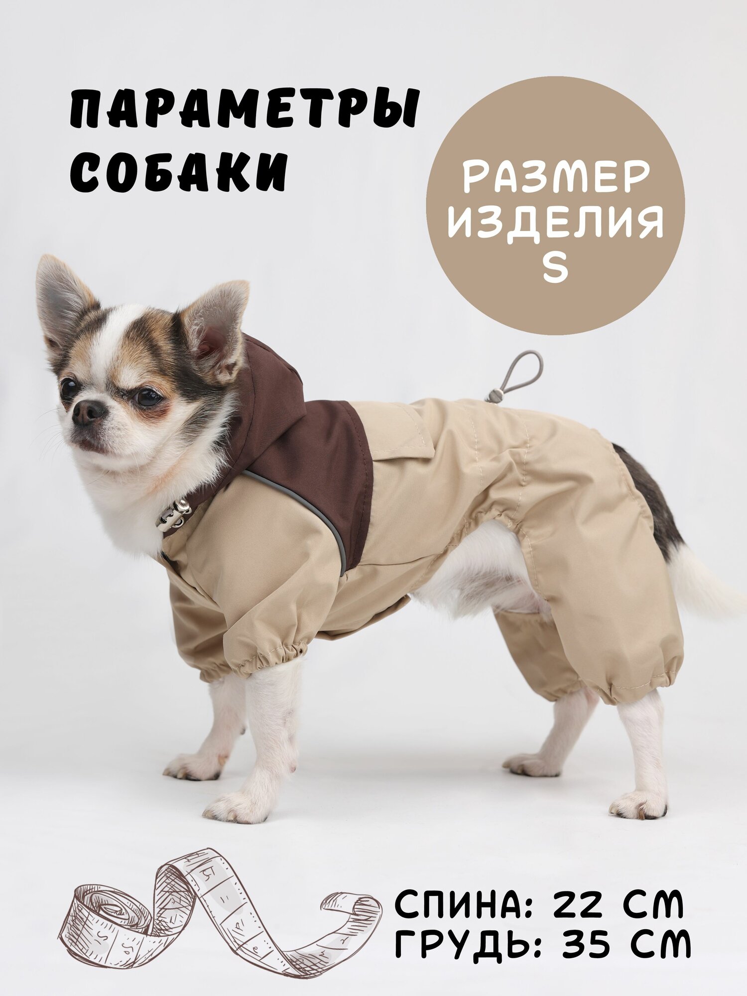 Одежда для животных — фото 1