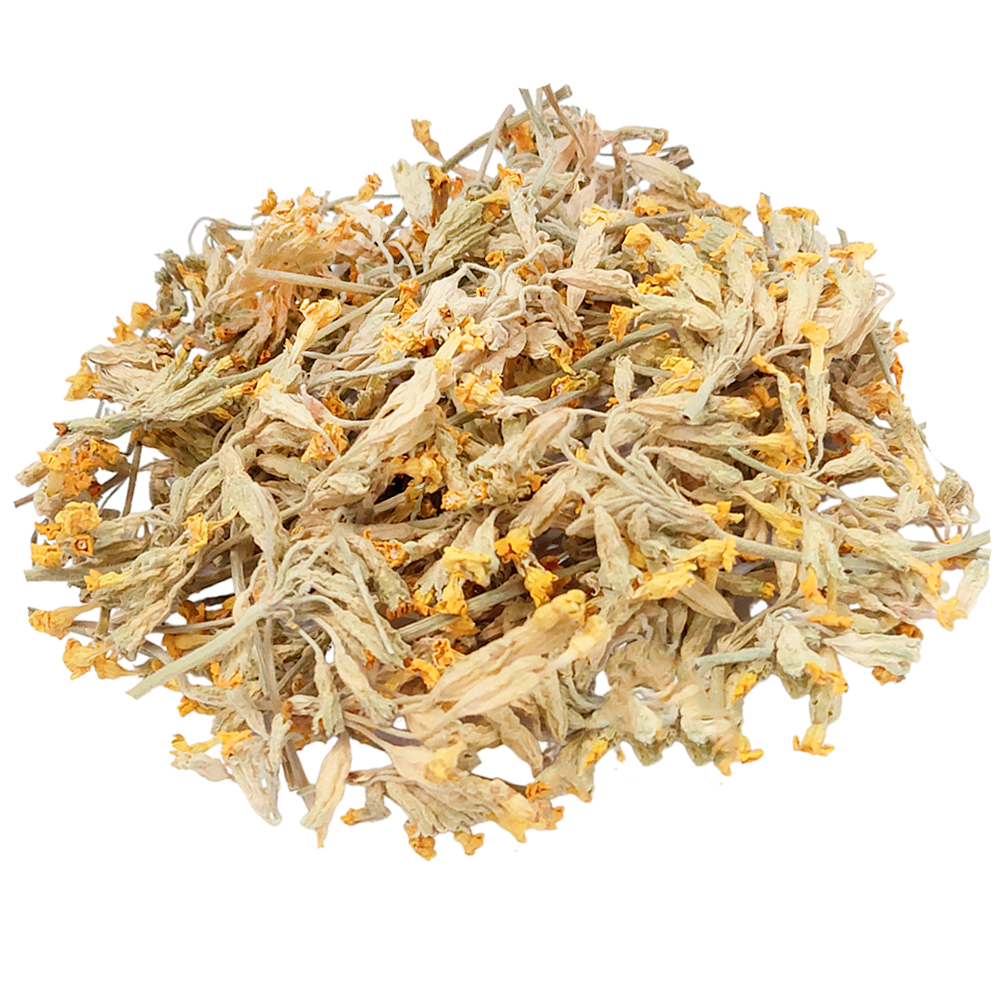 Цветки первоцвета весеннего (Примула)