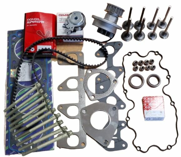 Комплект ГРМ + клапана + прокладки + колпачки маслосъемные + болты ГБЦ + помпа Daewoo Nexia N150 1.5 8 клапанная 08- / Chevrolet Lanos 1.5 / ZAZ Sens 1.5