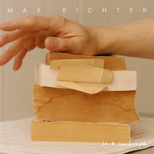 Диск Max Richter - In A Landscape (1 CD) — фото 1