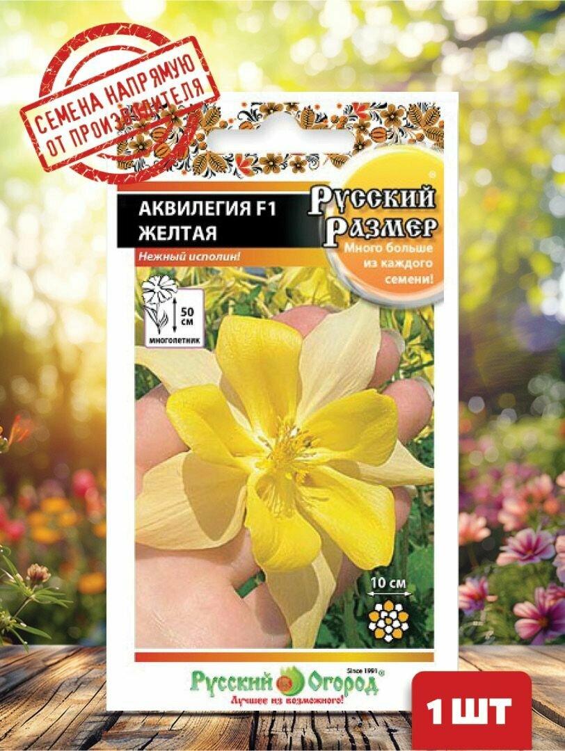 Семена Аквилегия F1 Русский Размер желтая 5 шт.