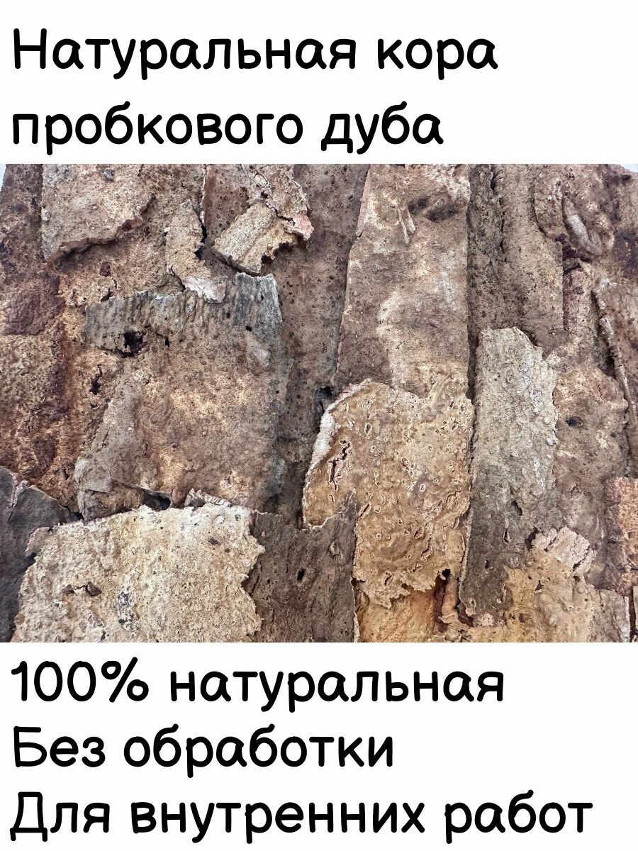 Стеновые панели пробковые — фото 1