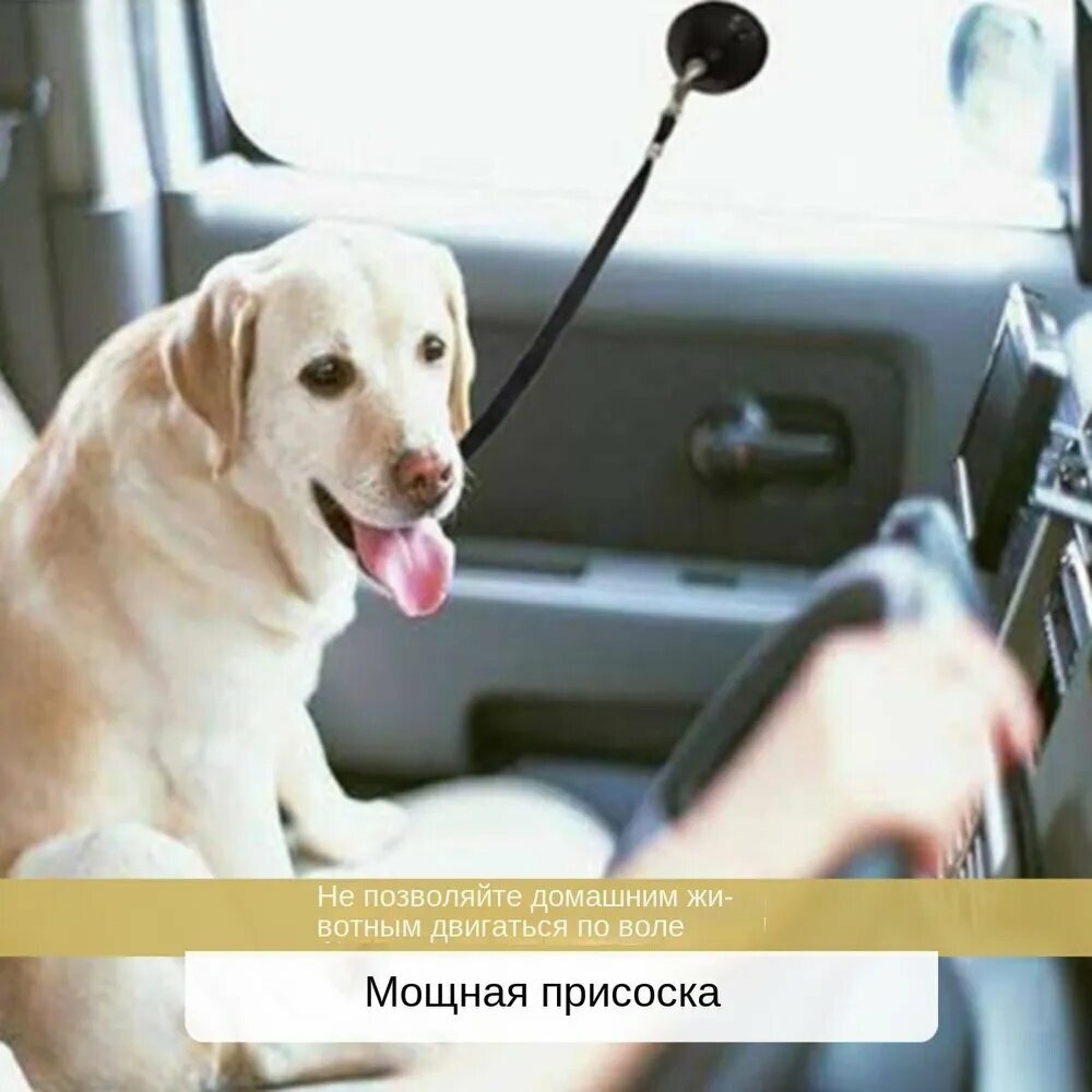 Ванночка для животных — фото 1