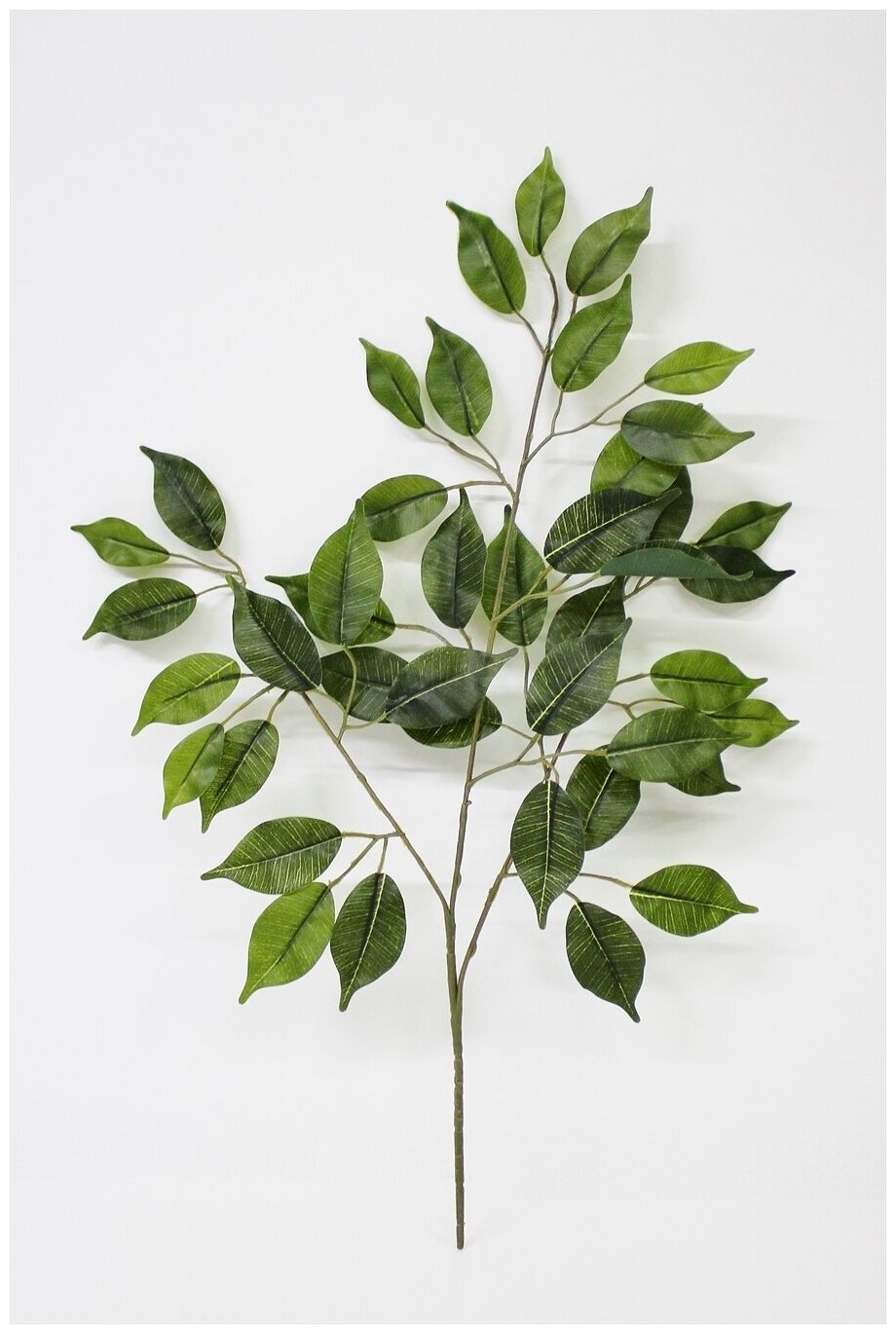 Ветка фикуса искусственная 66 см. (Комплект из 2 шт.), бренд CONEKO - декор для дома и офиса