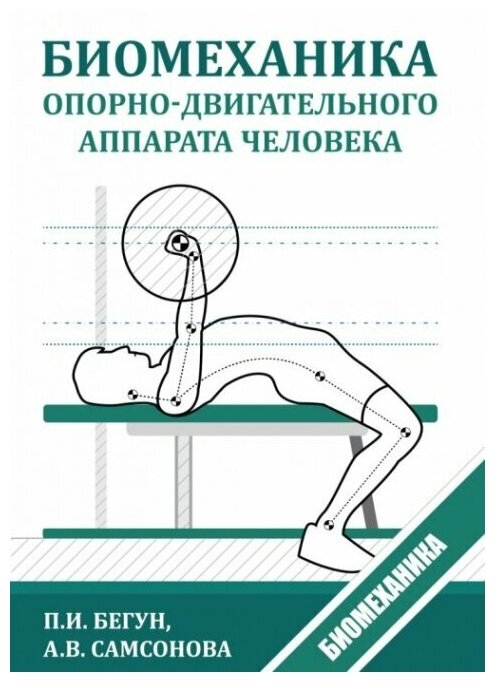 Биомеханика опортно-двигательного аппарата человека.