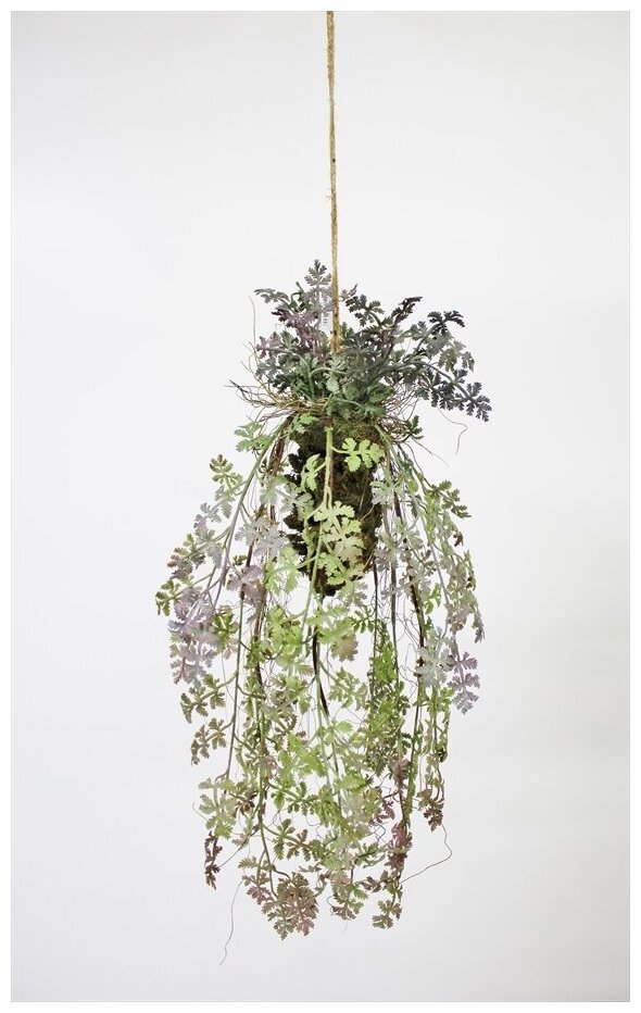 Микания ампельная на корне 60 см, бренд CONEKO - декор для дома и офиса