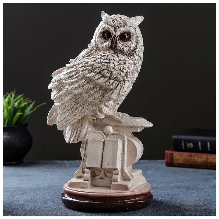 Фигура "Сова с книгой на подставке" 18х21х34см состаренная