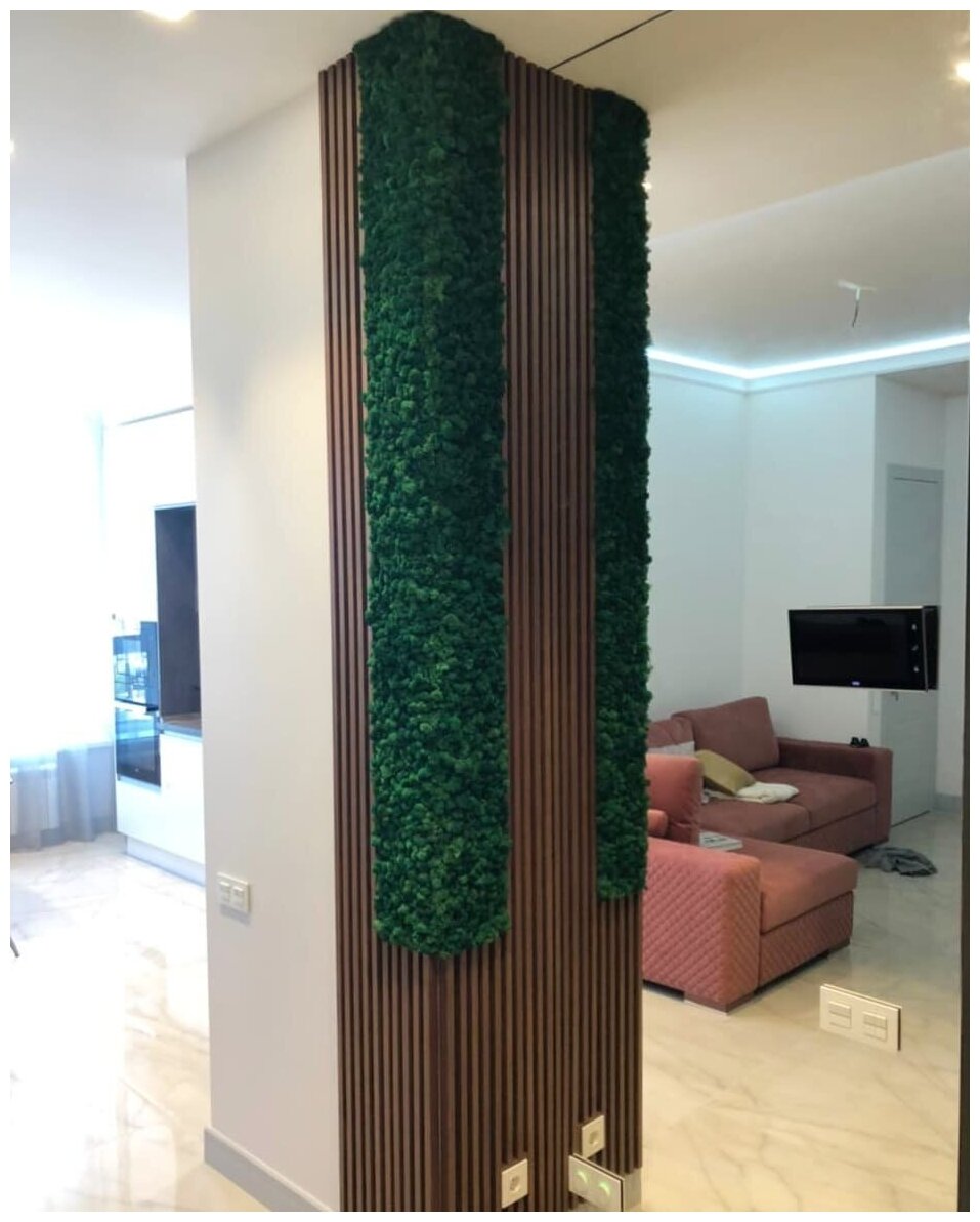 Панно из стабилизированного мха Ягель. Стоимость указана за 1 кв. м.