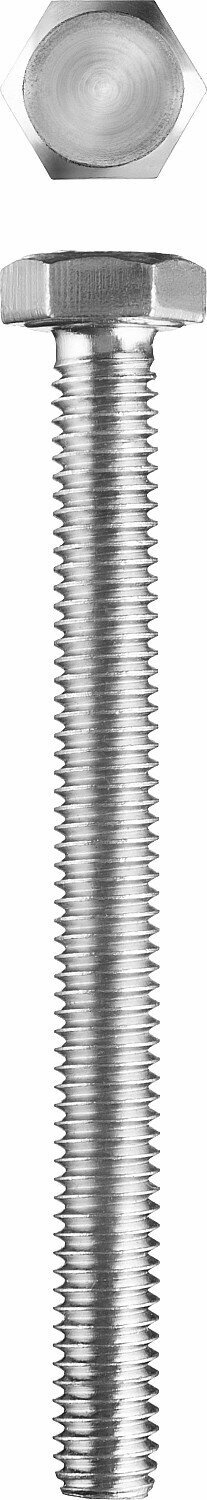 Болт ЗУБР M5x50мм, ГОСТ 7798-70, кл. пр.5.8, 5кг 303080-05-050