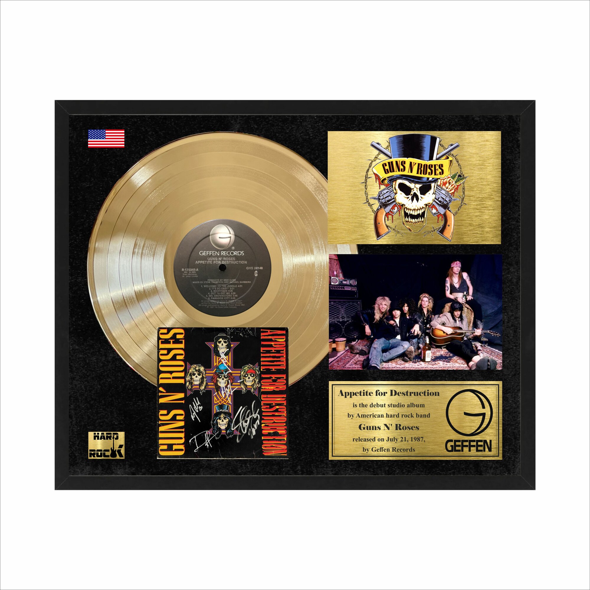 Guns N Roses Картина с золотым диском