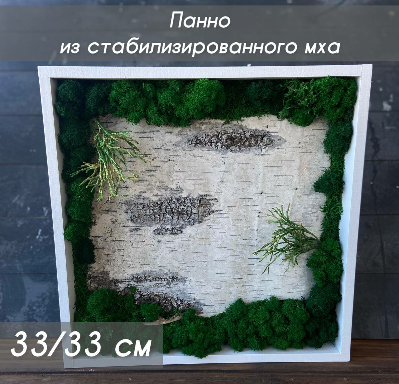 Картина из мха "Березовая кора" 33x33 Б