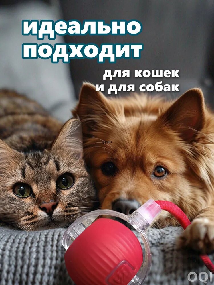 Игрушка для животных — фото 1