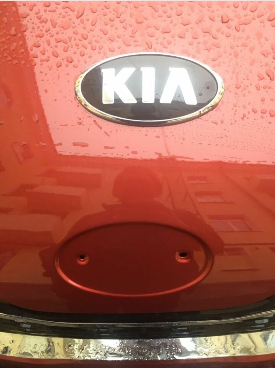Эмблема KIA Rio / Ceed 130x65 — фото 1