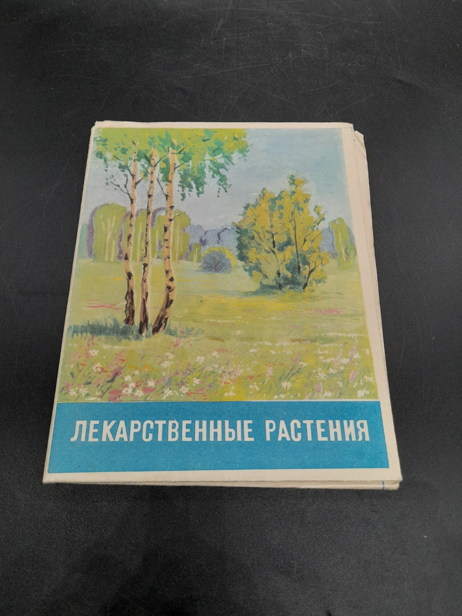 Книга. Лекарственные растения. Г. К. Смык, 1971 г, СССР
