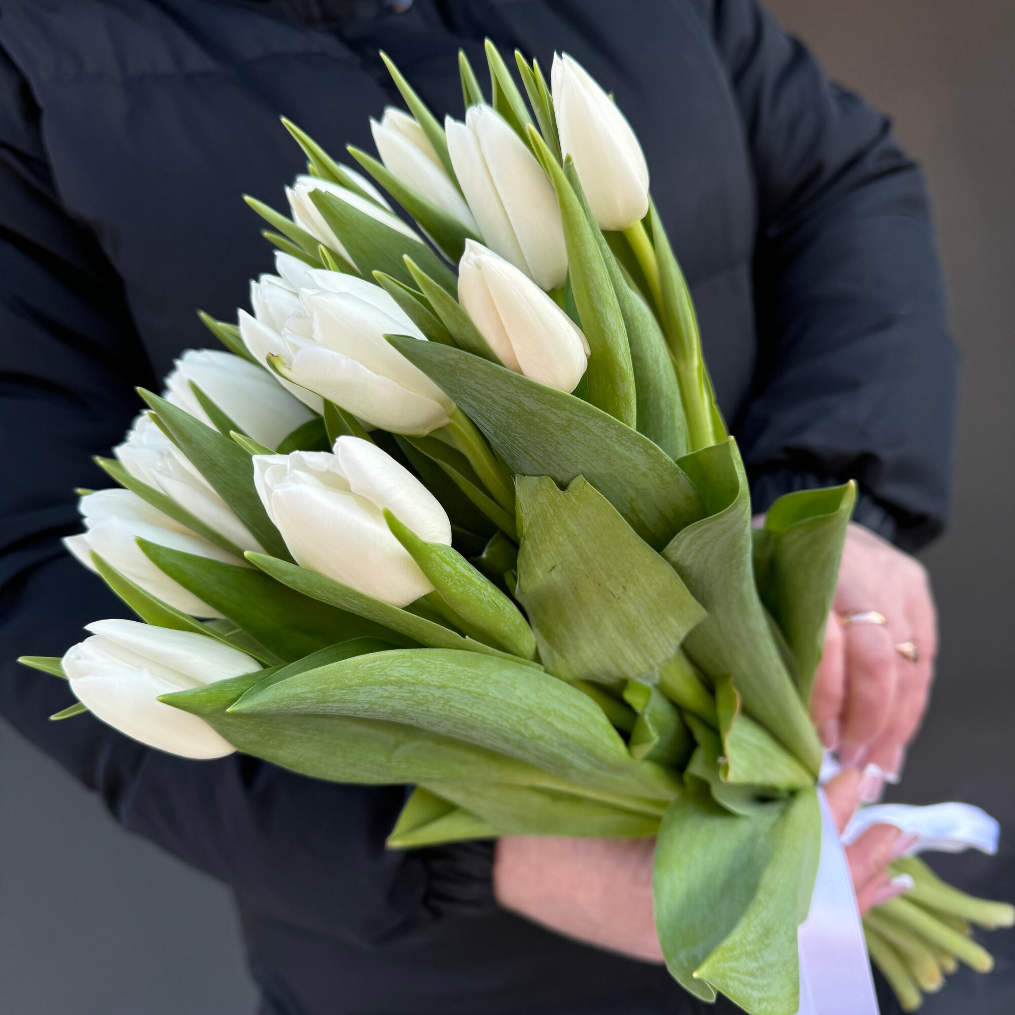 Тюльпаны 15 шт белые просто роза ру nove арт. 11394 st nhi npo skr ak