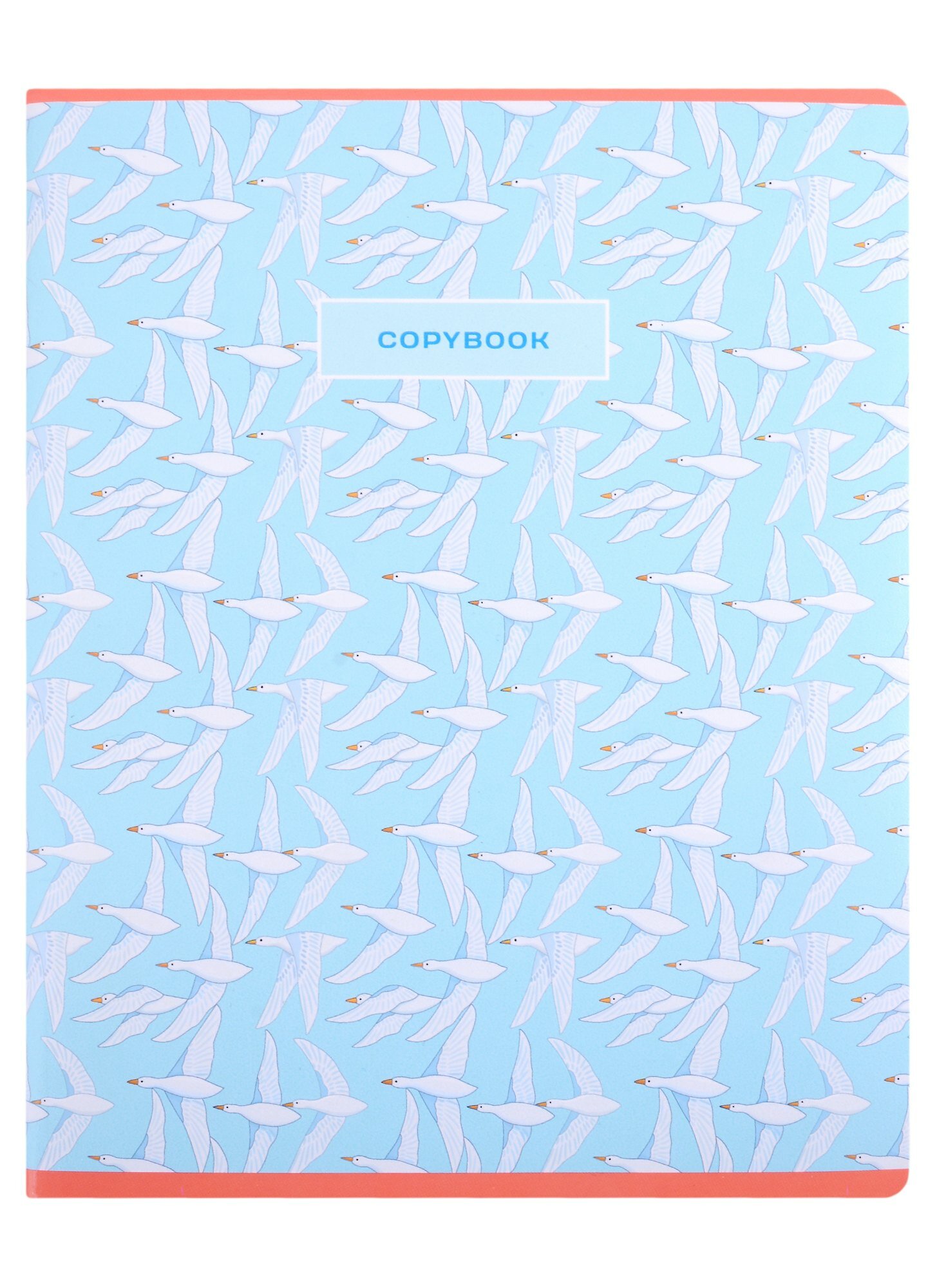 Тетрадь в клетку Academy Style, "Птицы", 96 листов