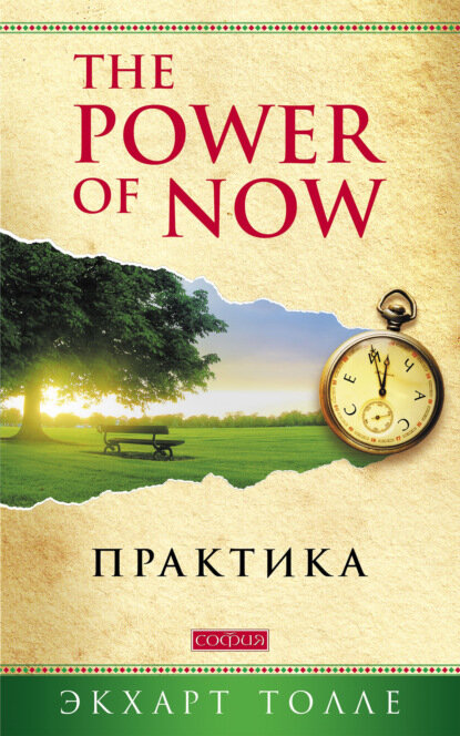 The Power of Now. Практика [Цифровая книга]