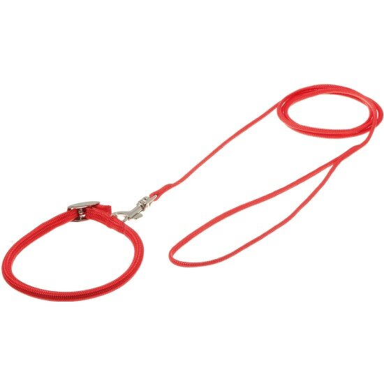 Комплект V.i.pet 6мм х 28см (21-24 см) круглый + поводок 3мм х 1,2м (красный) 78-2023