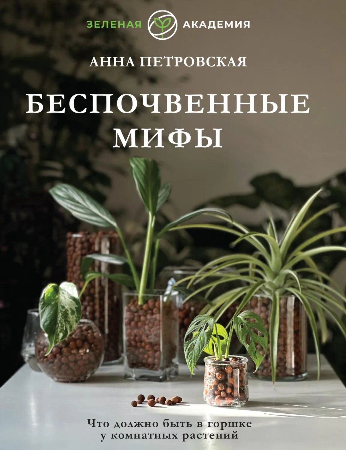 Что должно быть в горшке у комнатных растений. Беспочвенные мифы [Цифровая книга]