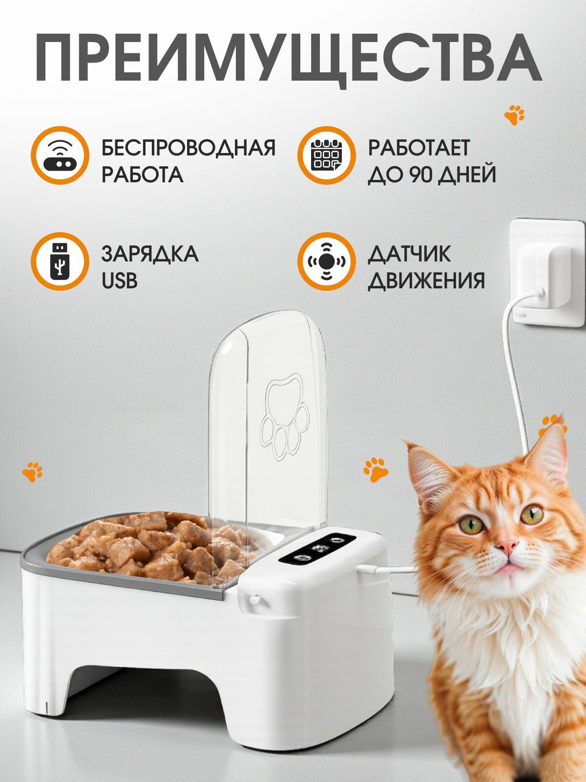 Автоматическая кормушка — фото 1