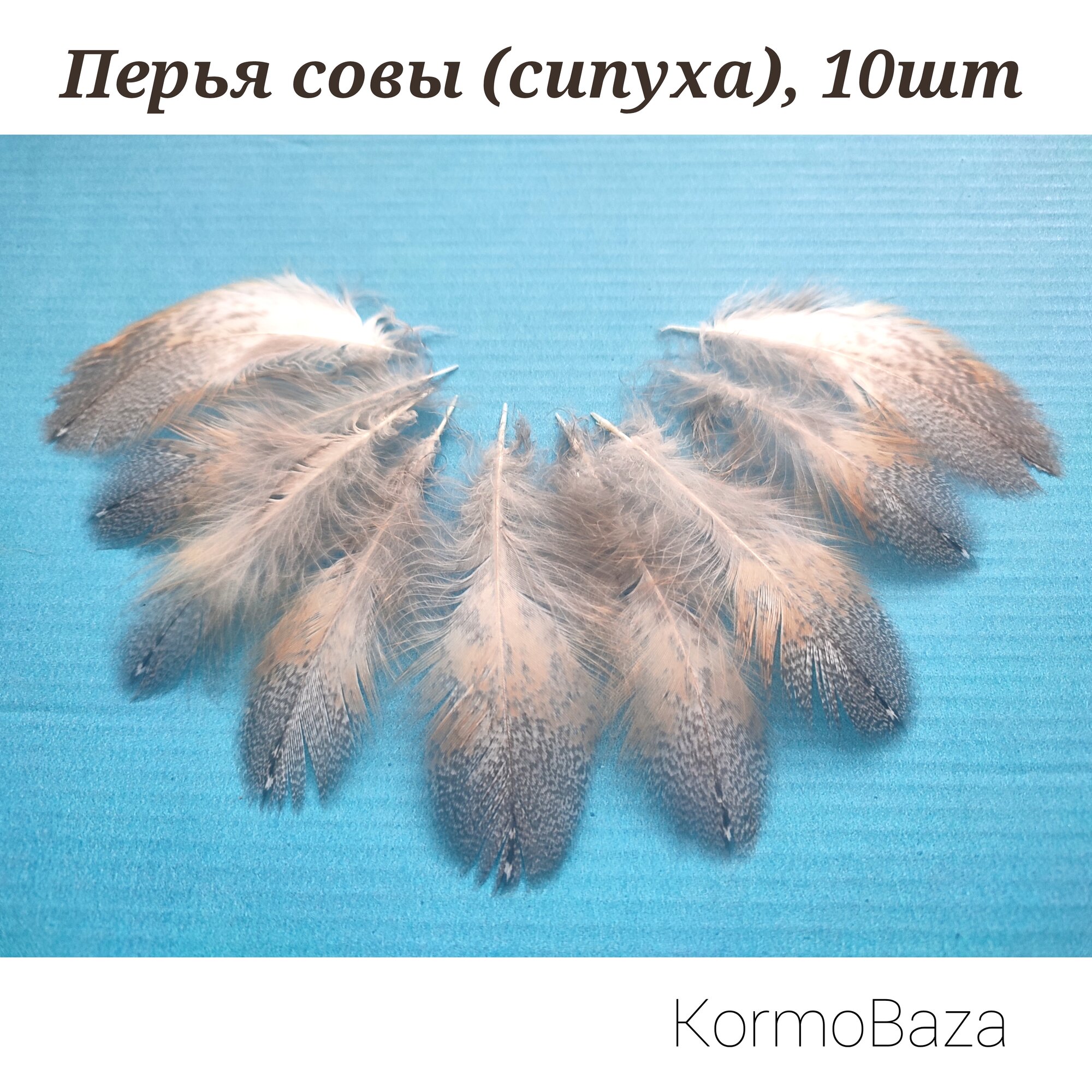 Перья совы (сипуха), 10шт. Натуральные перья