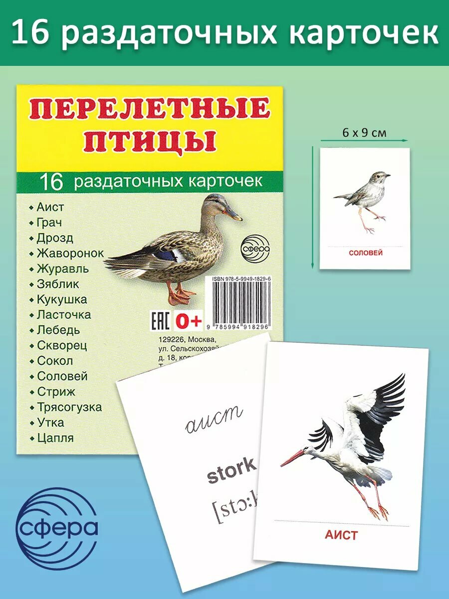 Демонстрационные картинки Супер. Перелетные птицы.16 раздаточных карточек с текстом. Сфера картинок